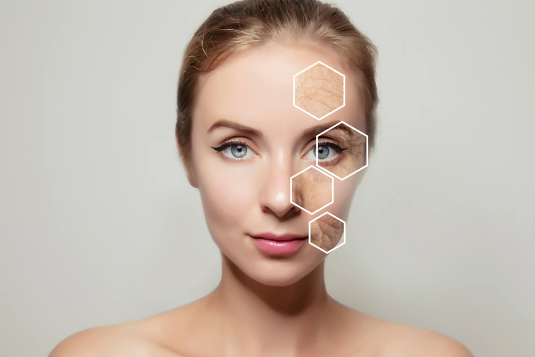 Telomery i telomeraza - definicja i rola w komórkach człowieka