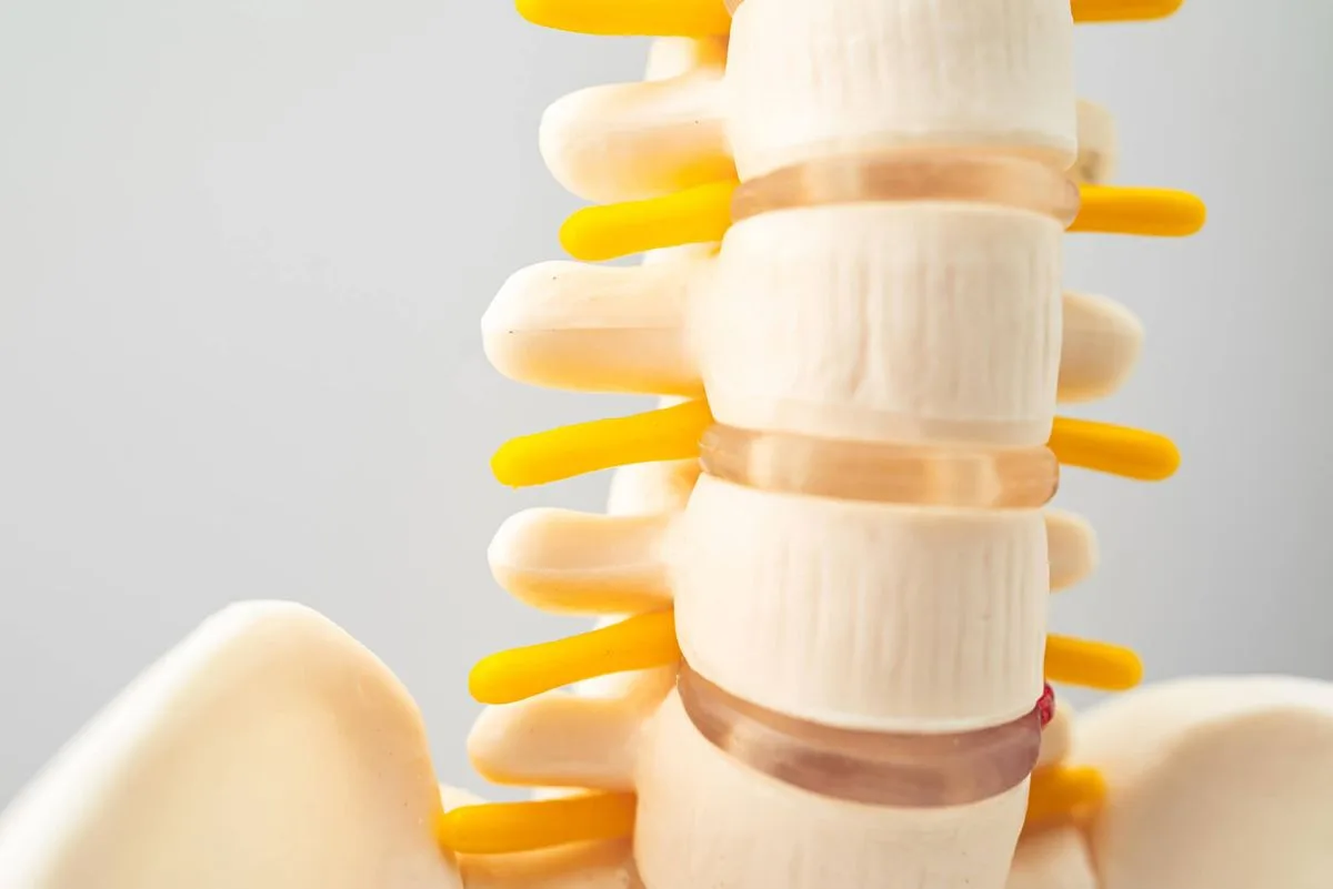 HLA B27: marker genetyczny w ZZSK - ALAB Laboratoria