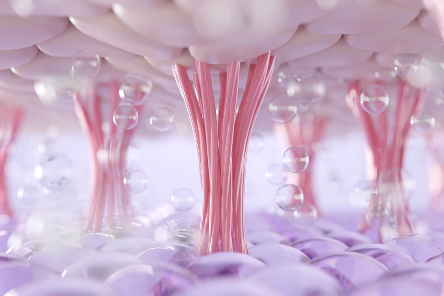 Kolagen – czym jest, jakie pełni funkcje w organizmie, kolagenozy ...