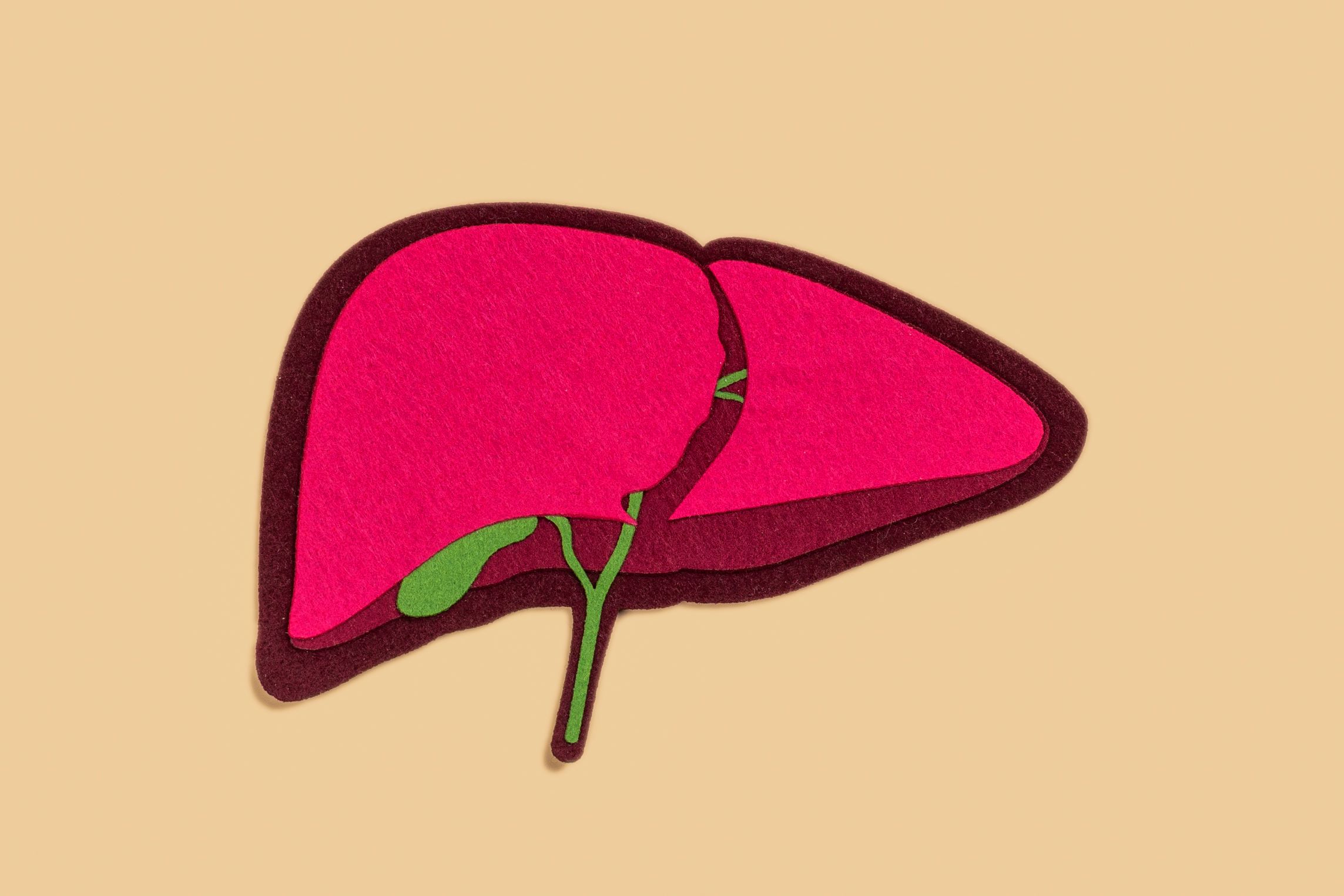 Wątroba – budowa, funkcje, najczęstsze choroby - Centrum Wiedzy ALAB laboratoria