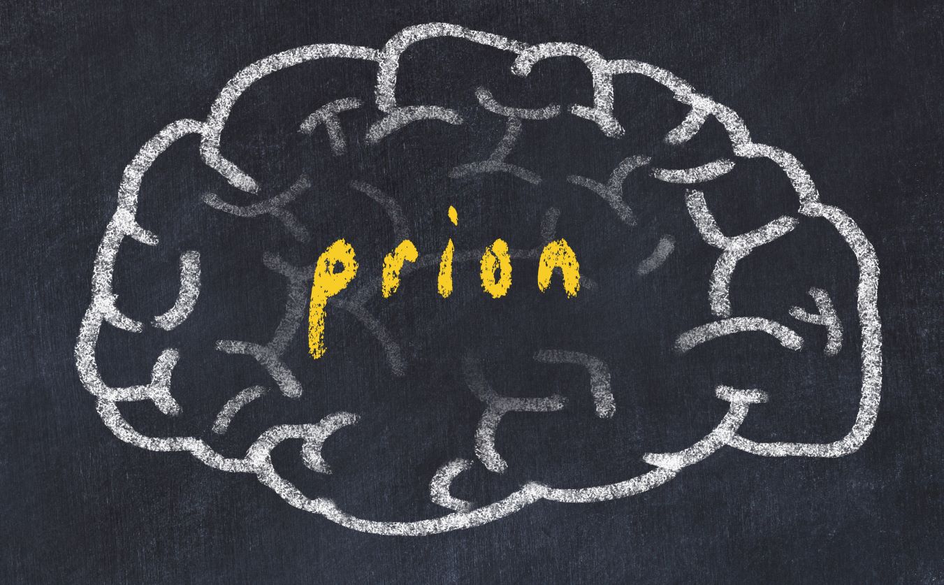 Choroby prionowe – czym są priony i jakie choroby powodują? Objawy ...