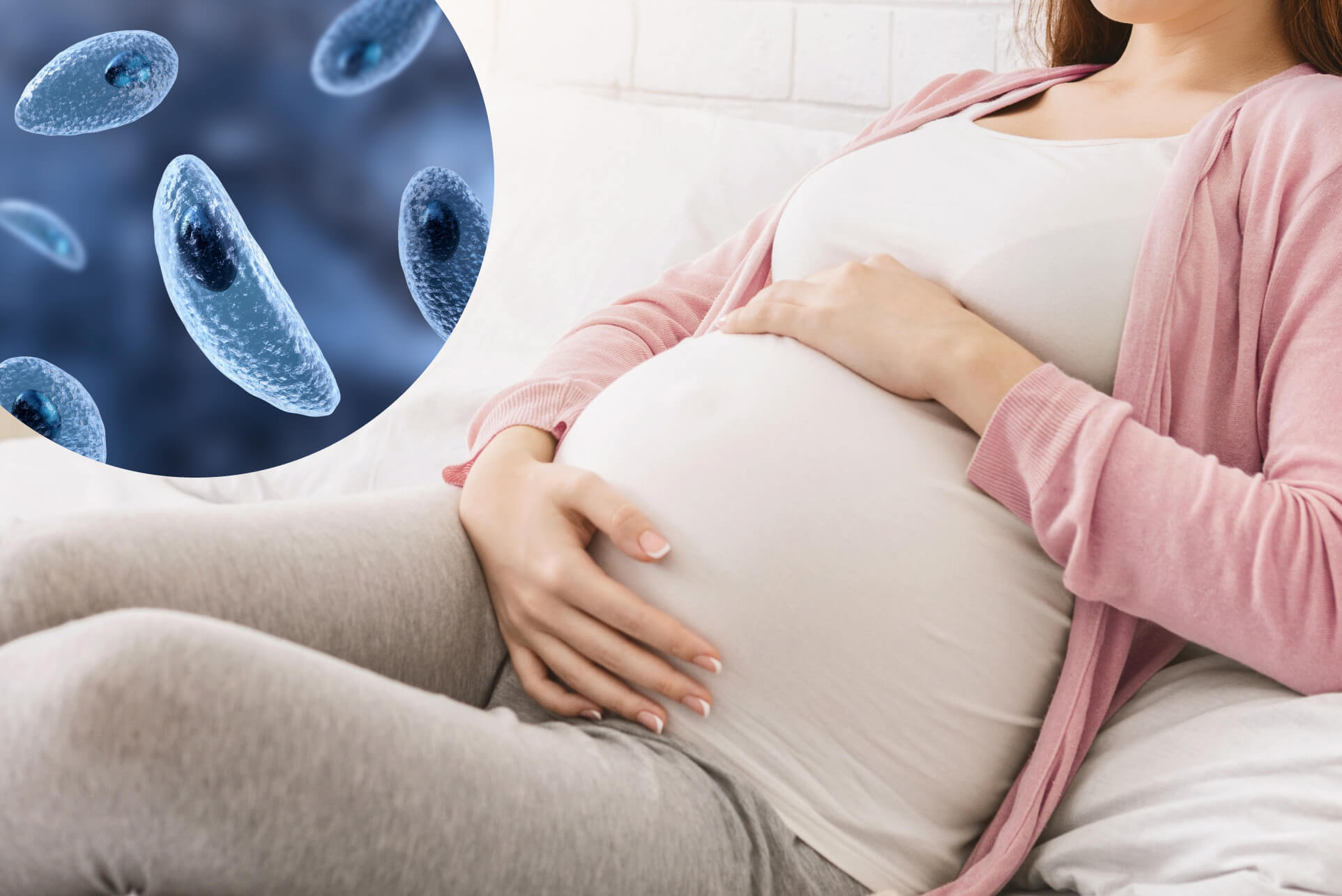 Toksoplazmoza w ciąży – objawy, przyczyny, diagnostyka i leczenie ...