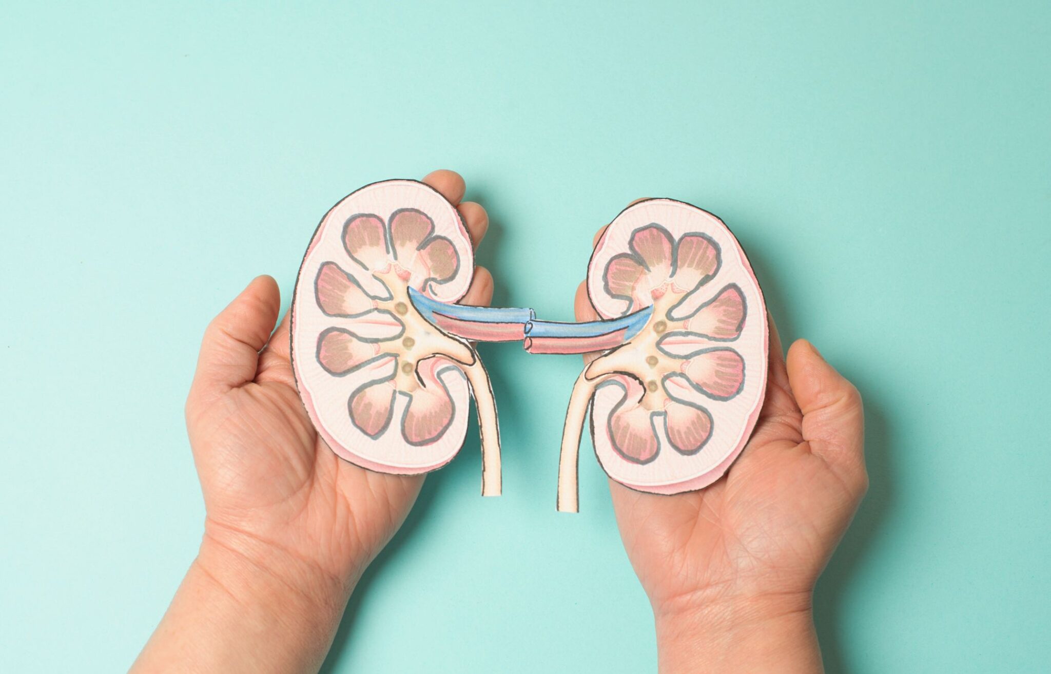 Niewydolność nerek – objawy, przyczyny, diagnostyka i leczenie ...