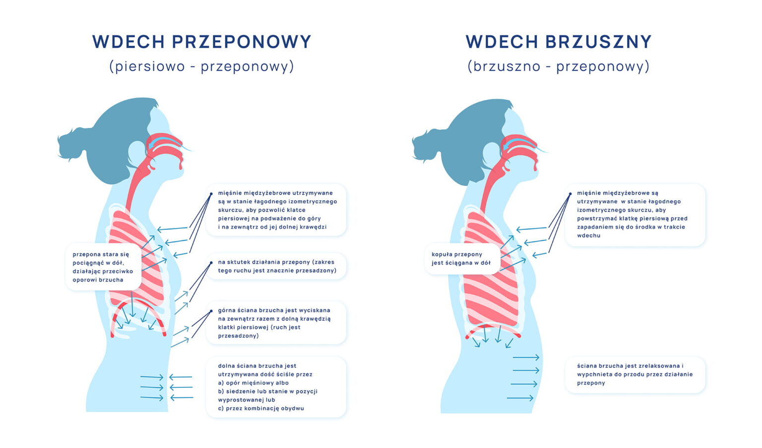 Jak prawidłowo oddychać? Jak oddychać przeponą? - Centrum Wiedzy ALAB ...